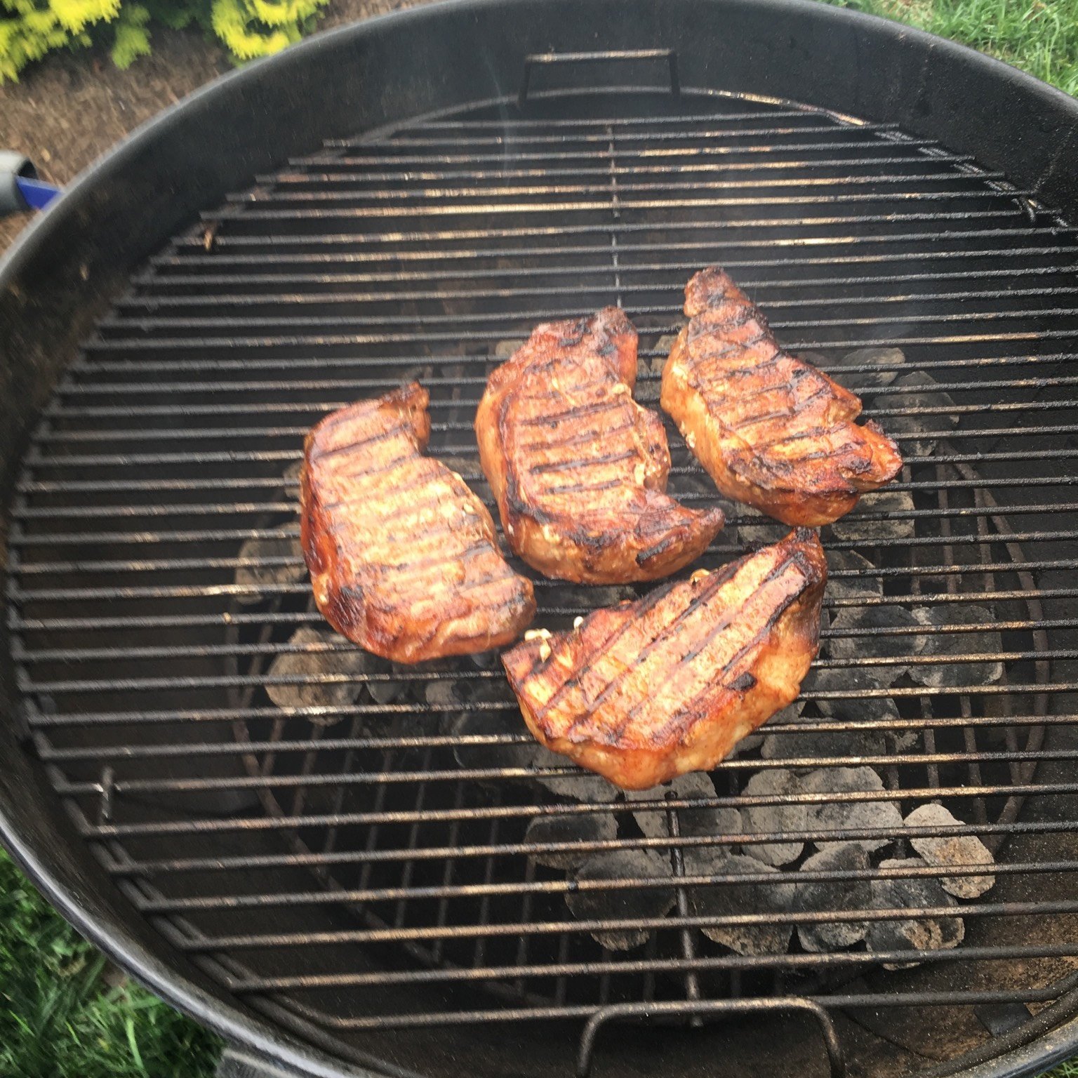 I think I created a monster… – Northeast BBQ